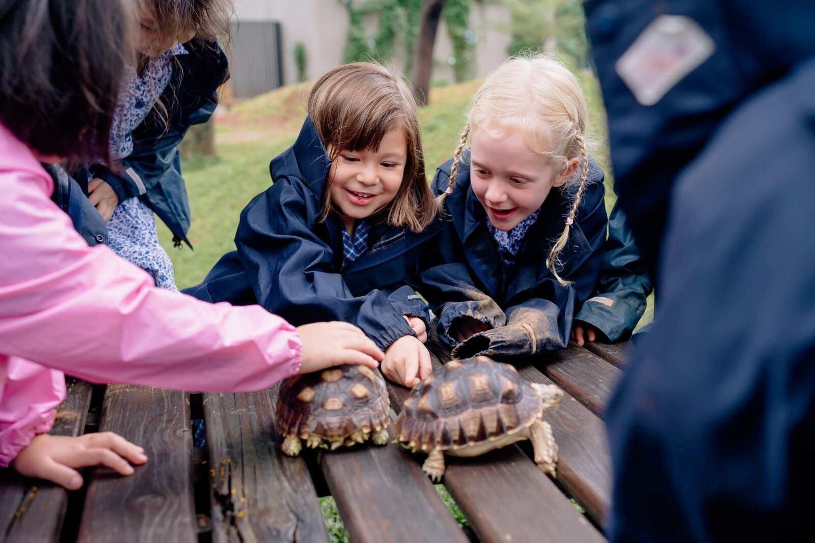 Pre-Prep (Ages 2–6) | EYFS & Key Stage 1 | ISJ Jakarta